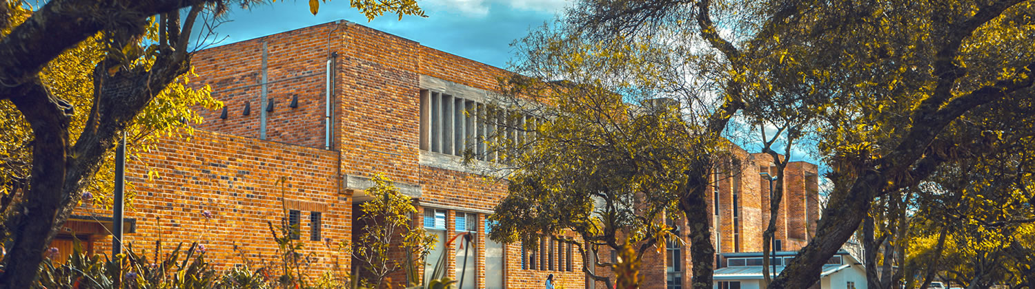 eNova Educación Continúa Avanzada